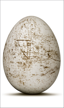 Jesus loved eggs, say experts